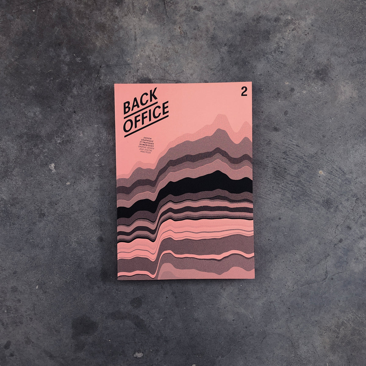 Back Office 2 Graphic Design And Digital Practices – Standards Manual