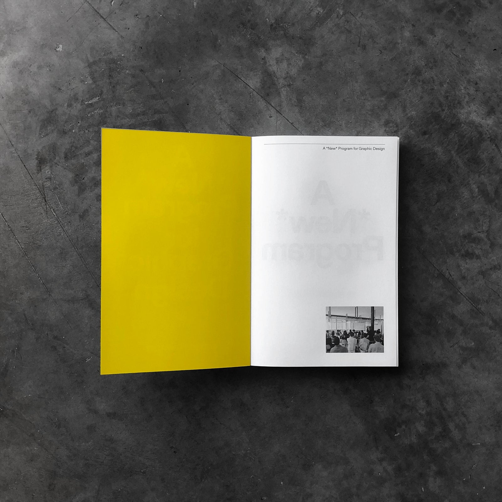 A *New* Program for Graphic Design – Standards Manual